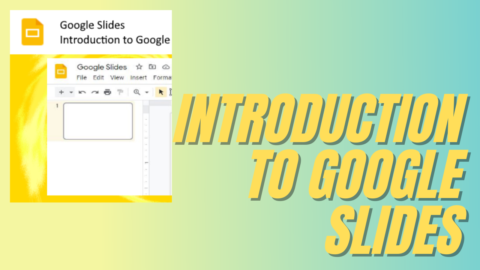 ProfessorRome.com | Learn How. Learn Now. Live Lectures.