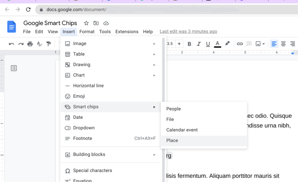 Google Smart Chips | ProfessorRome.com